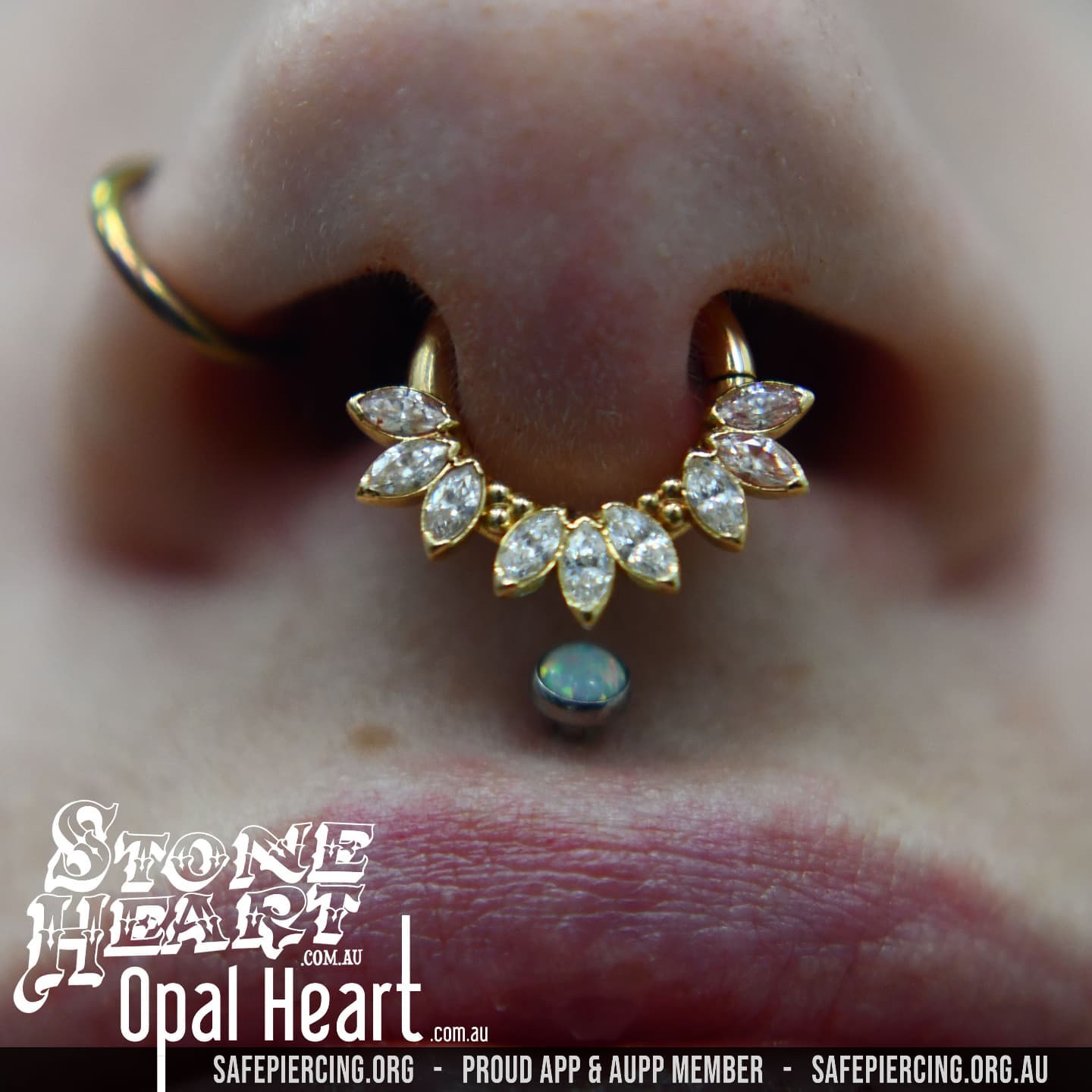 Telescopic septum – joeltron dot com