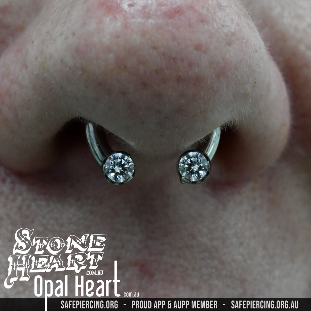 Telescopic septum – joeltron dot com